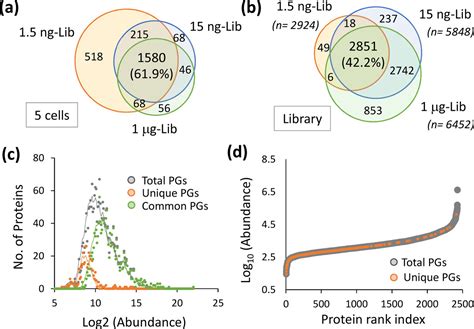 Sample Size Comparable Spectral Library Enhances Data Independent
