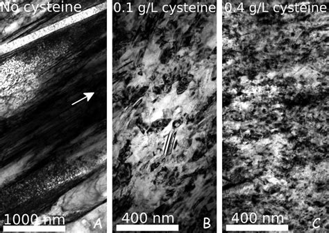 Tem Images Showing The Microstructures In The Cross Section Of The Ni