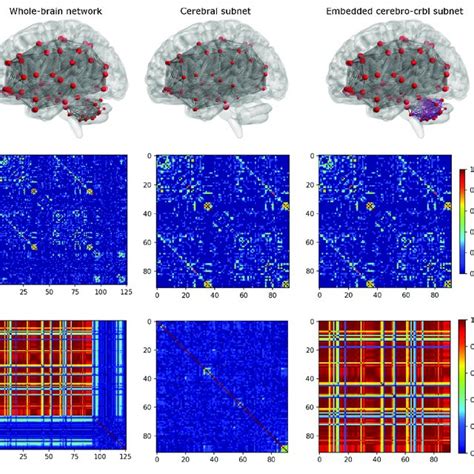 Functional Connectivity Fc Matrices For Each Network The Top Row