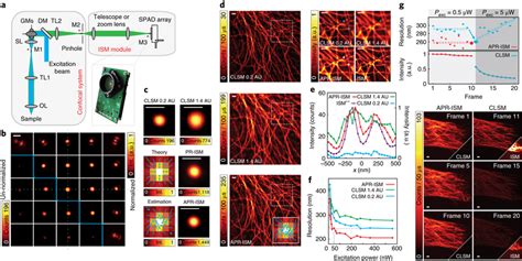 Image Scanning Microscopy With Spad Array A Schematic Of The Image