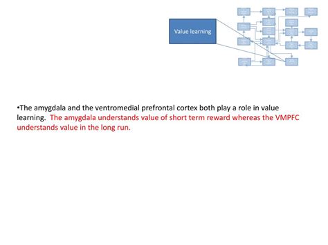Ppt Slackers Guide Limbic Memory Prefrontal Cortex V2 Powerpoint