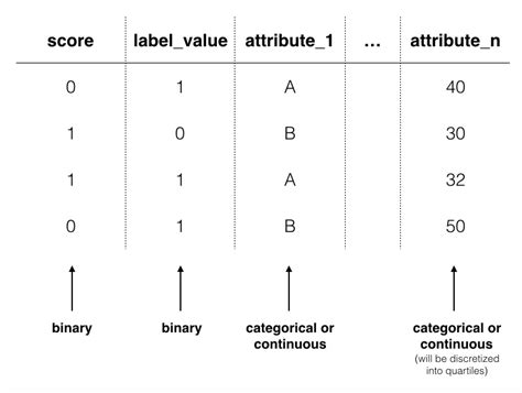 understanding input data — aequitas documentation