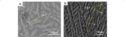 A Sem Cross Section Microstructure Morphology Of Coating Zone B Sem