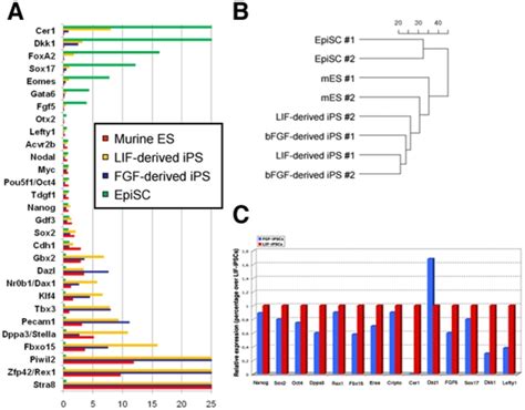 A Comparative Gene Expression Analysis Among Conventional Murine