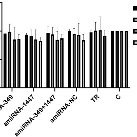 Amirna Treatment Did Not Affect Cell Viability Vero Cells Were Grown