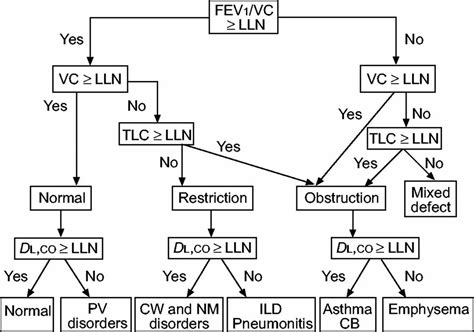 Pulmonary Function Testing The Clinical Advisor