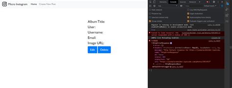 javascript why do i get value true when the requested photo does not