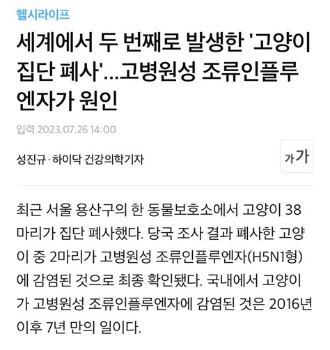 세계 두번째로 한국에서 고양이 집단폐사 발생 포텐 터짐 최신순 에펨코리아