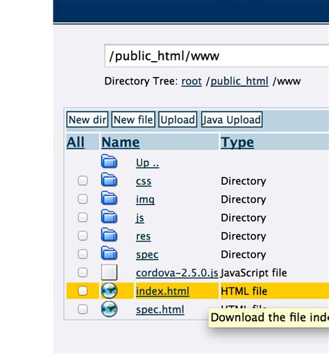 using phonegap cordova on ios with external url stack overflow