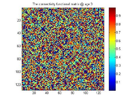 Functional Connectivity Matrix At Age 3 As Expected The Entries Range