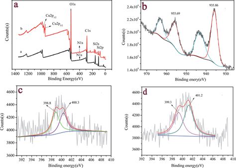 A Xps Survey Spectra Of 2 Apy Modified Sio 2 Before Curve A And