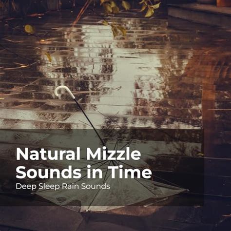 Amazon Music Unlimited Deep Sleep Rain Sounds Rain Meditations