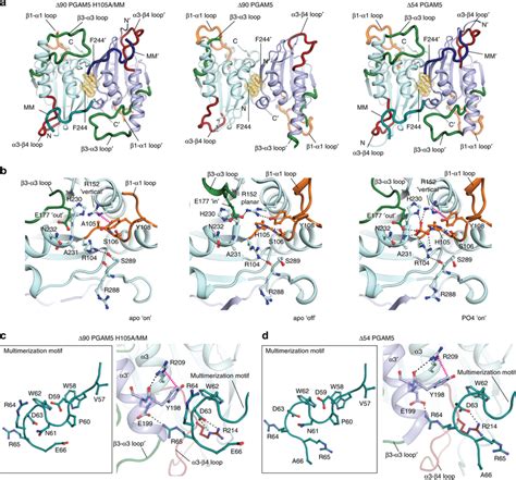 Key Features Of Pgam5 Activation In The Crystal Structure Of ∆90 Pgam5