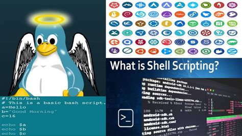 shell script tutorial youtube