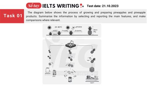 Đề Thi Ielts Writing Task 1 Ngày 21 10 2023 Iec Edu