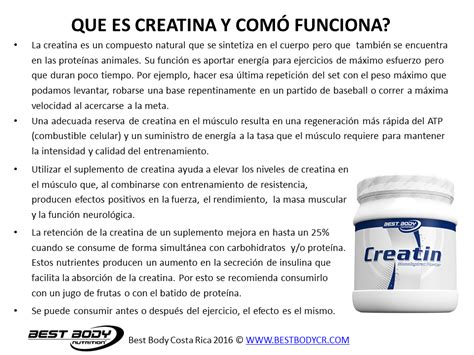 Que Es Creatina Y ComÓ Funciona