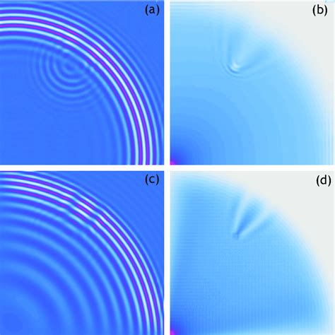 Wave Propagation Velocity Patterns Registered At 0 8 Ms With 250 × 250