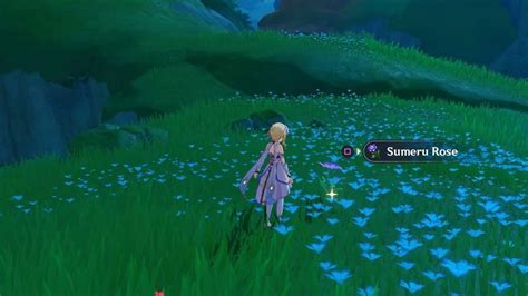 Where To Get Sumeru Rose In Genshin Impact
