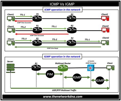 Icmp Vs Igmp Key Variations The Network Dna