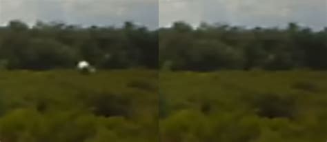 Skinwalker Orb On Security Cam Metabunk
