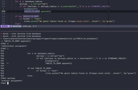 `trim database` incorrectly removes tables frappe frappe