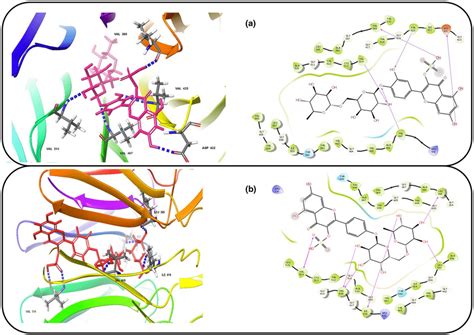 3d And 2d‐molecular Docking Simulation Of Download Scientific Diagram