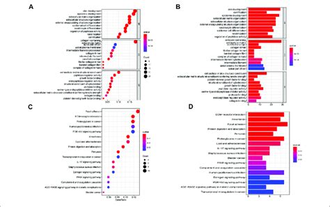 Gene Set Enrichment Analysis Of Pathways And Biological Functions