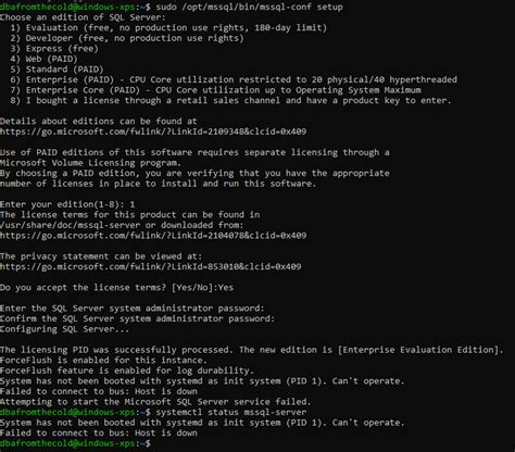 running sql server in windows subsystem for linux wsl dba from the cold