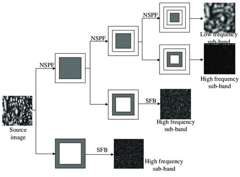 Diagram Of Nsst Three Level Decomposition 2 1 2 Parameter Adaptive