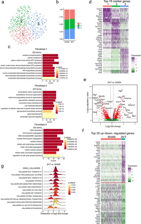 Gene Expression Heterogeneity Of Fibroblasts A Umap Plot Of