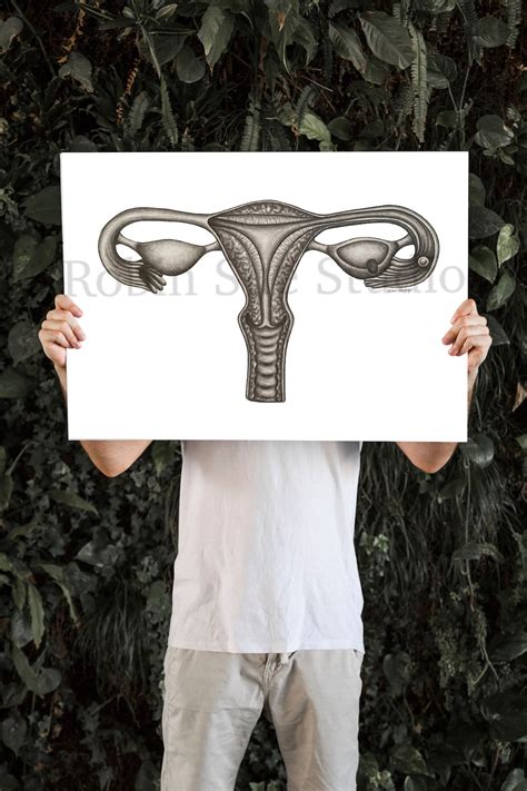 Womens Health Poster Female Anatomy Poster Womens Health Art For Obgyn