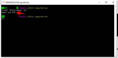 how to clone a repository using and ssh dumb it dude
