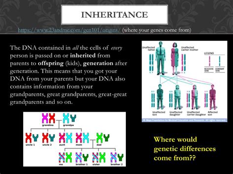 ppt objective 5 inheritance and mutations powerpoint presentation