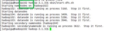 hadoop运行踩坑：error could not find or load main class org apache hadoop