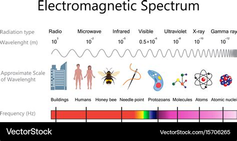 Understanding The Electromagnetic Spectrum Telegraph