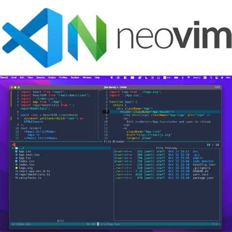 how i learned to love vim and transit from vs code to a neovim workflow