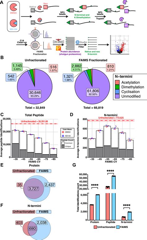 Ion Mobility Based Enrichment Free N Terminomics Analysis Reveals Novel