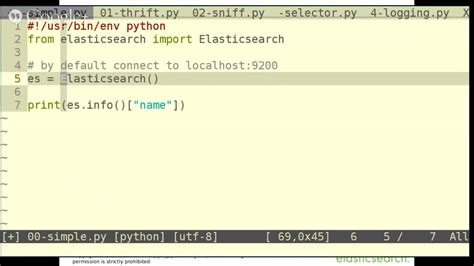 the why and what about python in elasticsearch elastic videos