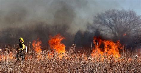 ¿qué Hacer Antes Durante Y Después De Un Incendio Forestal