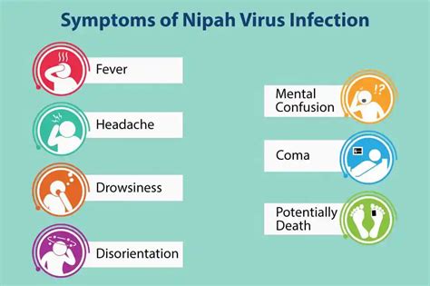 Key Facts About Nipah Virus And Precautions To Prevent It Health A Z