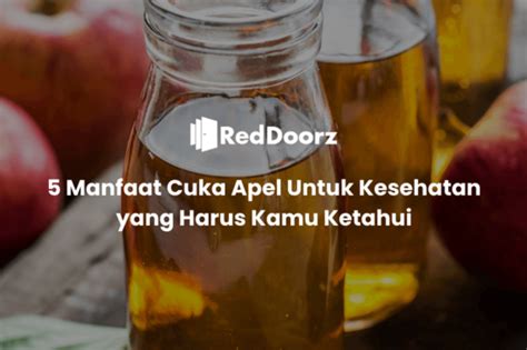 5 Manfaat Cuka Apel Untuk Kesehatan Yang Harus Kamu Ketahui