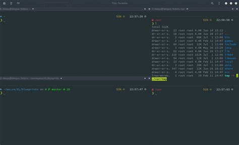 configure a beautiful terminal on unix with zsh dev community