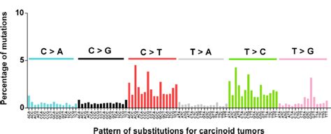 Mutational Signature Pattern Of Substitutions In Pulmonary Carcinoid