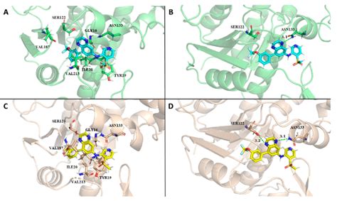 Illustration Of Protein−ligand Binding Modes For The Pfkfb3−ligand 41