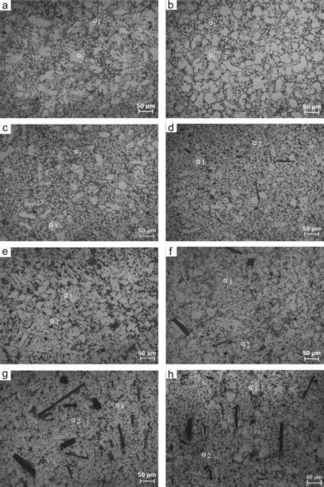 Optical Micrographs Showing The Microstructure Of Diecast Alloy With