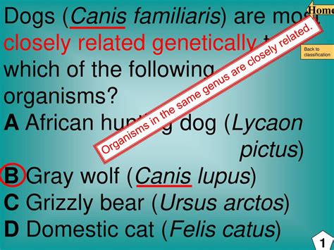 Classification Go To Naming Go To Kingdoms Home Back To Ppt Download