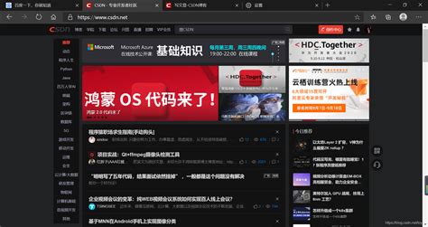 如何获得csdn深色模式（基于edge的强制深色获取） toyjis的博客 csdn博客 edge黑色模式