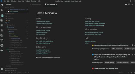 windows 10 couldn t start client java language server even