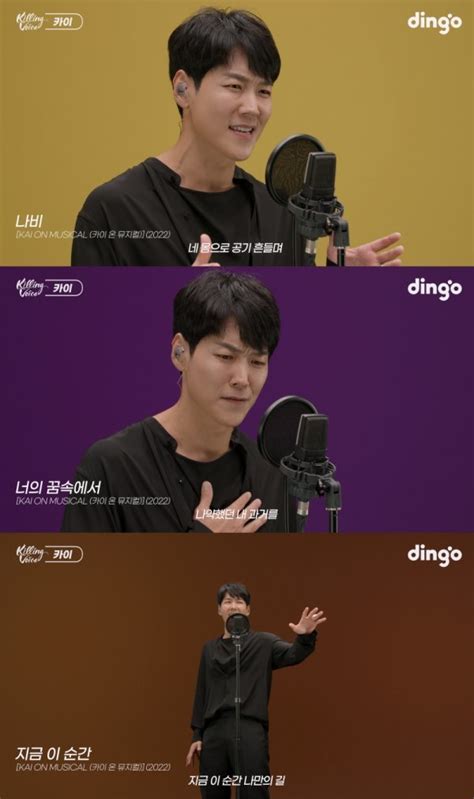 카이 딩고 ‘킬링 보이스 출격｜스포츠동아