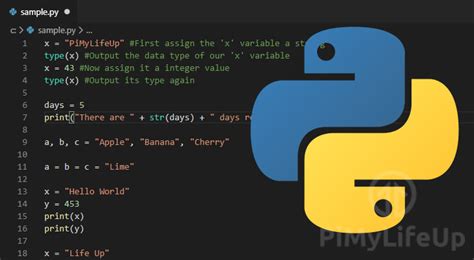 variables in python pi my life up